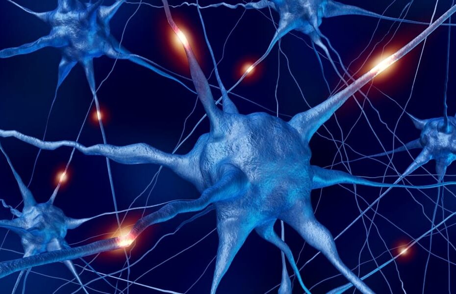 Alzheimer e tumori cerebrali: rapporto Italia-USA - www.latestata.it